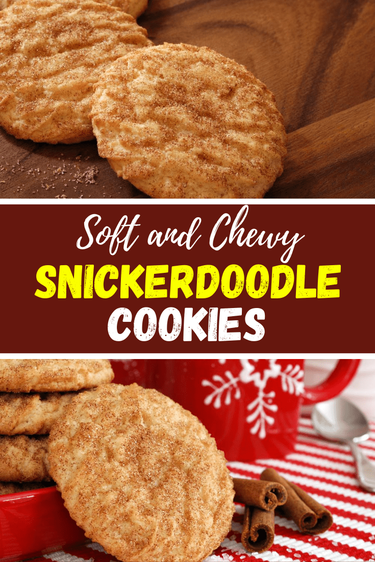 Soft and Chewy Snickerdoodle Recipe - Insanely Good