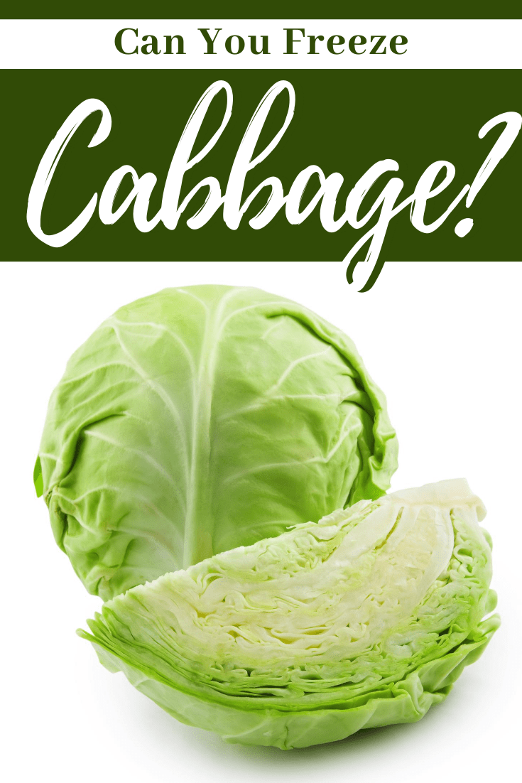 Can You Freeze Cabbage? - Insanely Good
