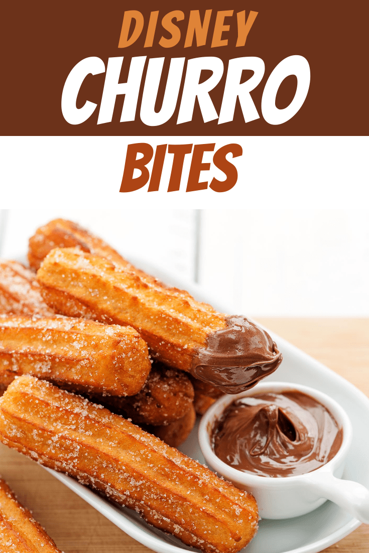 Copycat Disney Churro Bites Recipe - Insanely Good