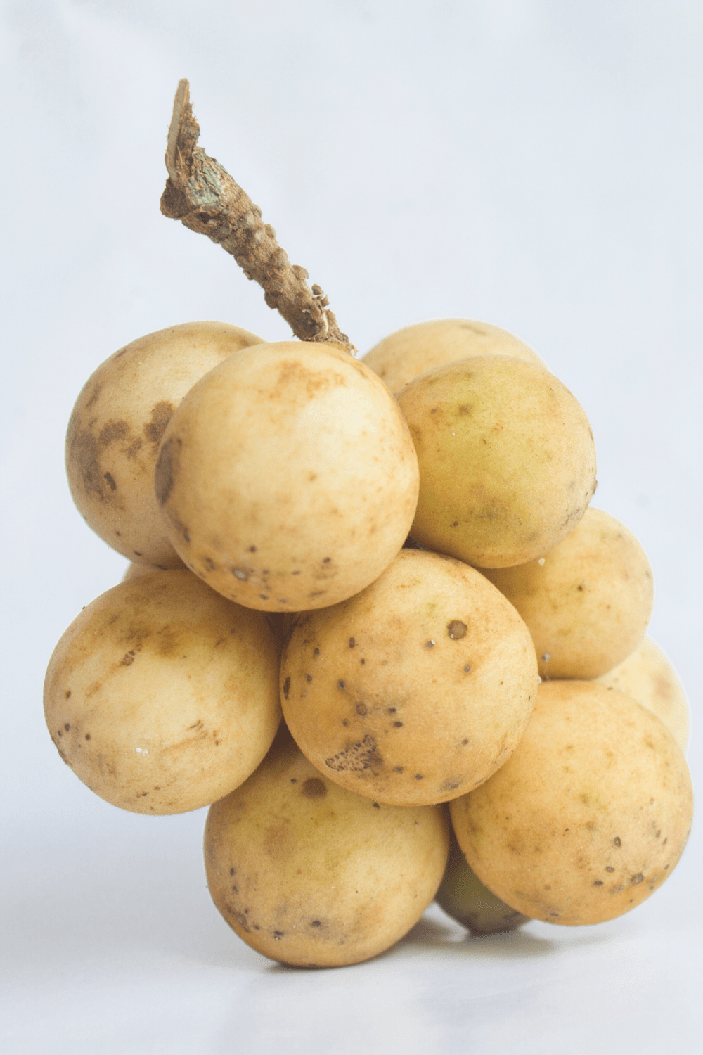 20 Fruits That Start With D - Insanely Good