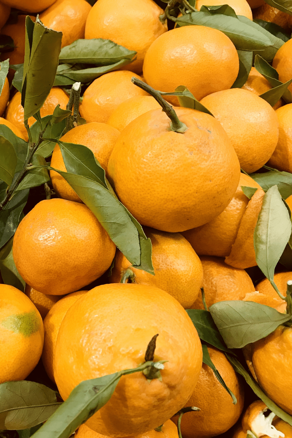 15 Fruits That Start With F - Insanely Good
