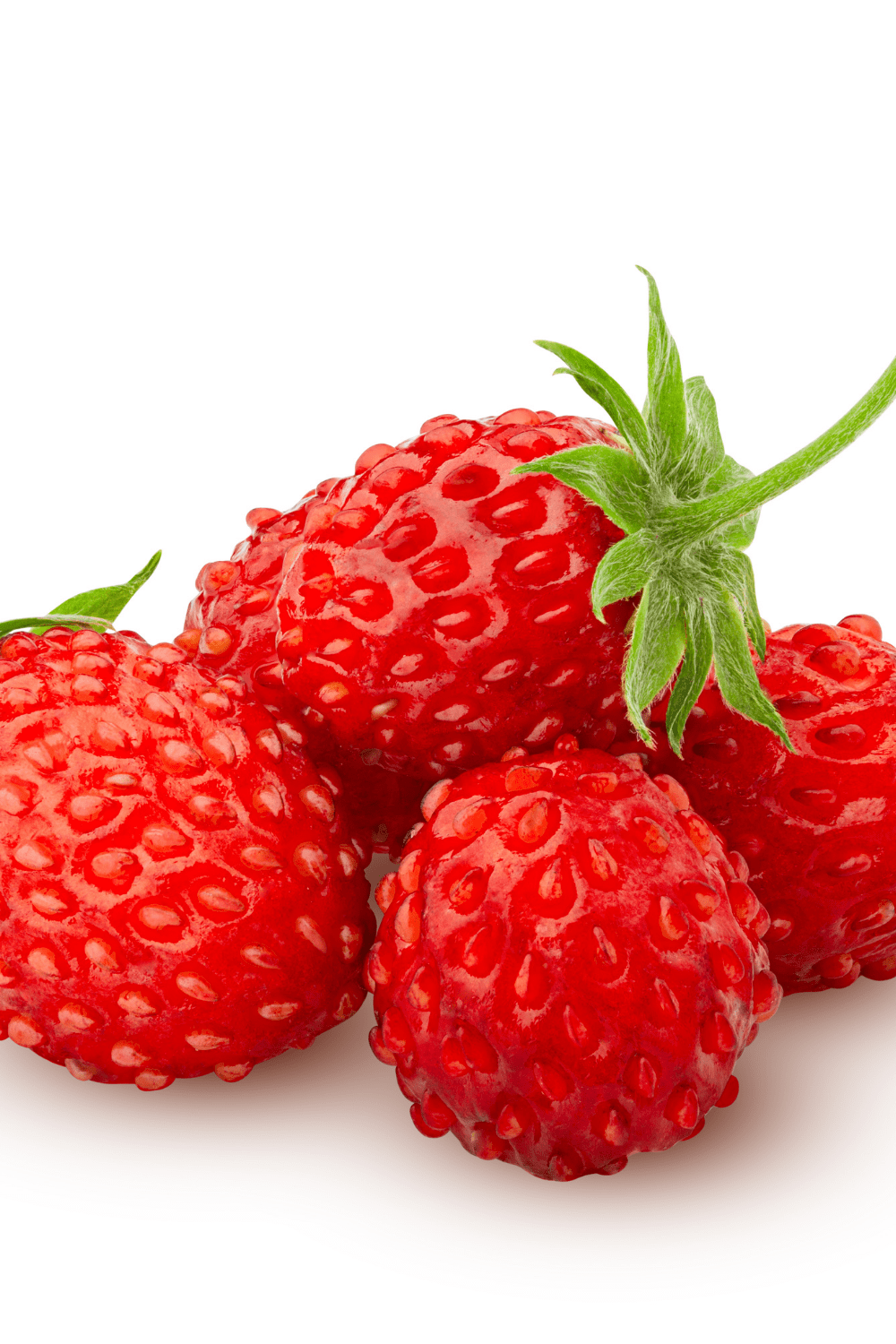 15 Fruits That Start With F - Insanely Good
