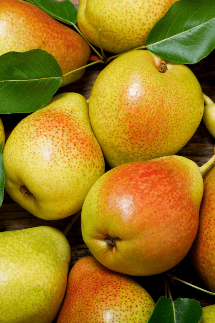 25 Foods That Start With P - Insanely Good