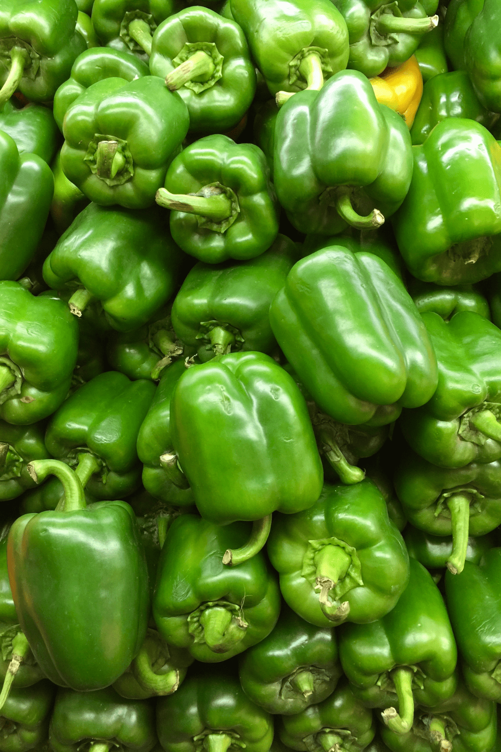 30 Foods That Start With G - Insanely Good