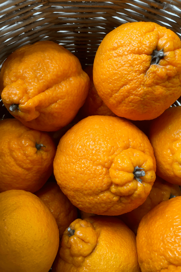 20 Fruits That Start With D - Insanely Good