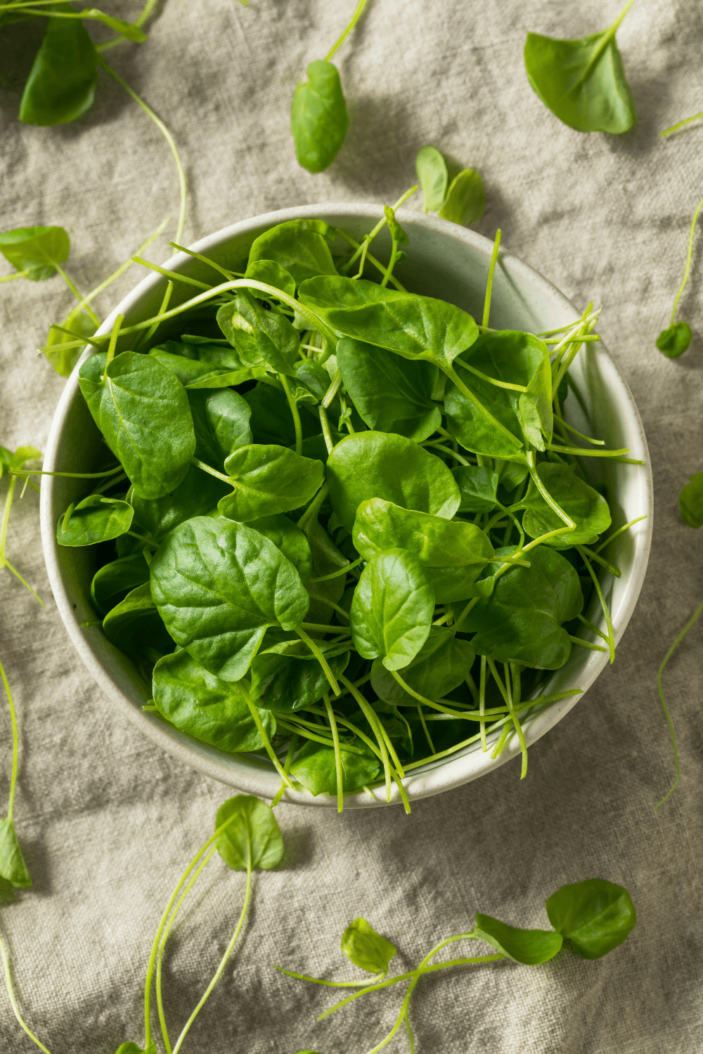 30 Foods That Start With W - Insanely Good