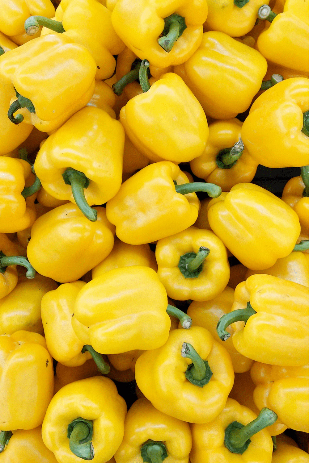 25 Foods That Start With Y - Insanely Good