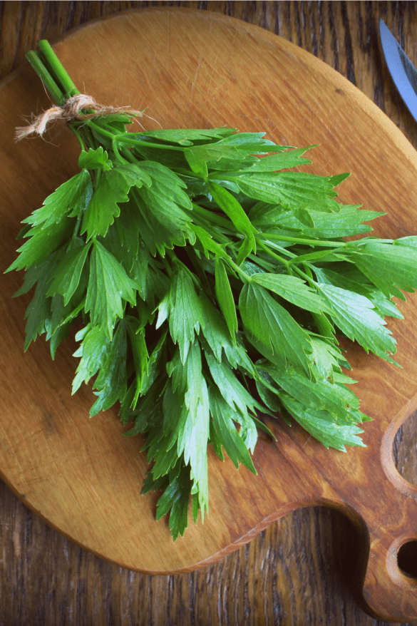 40 Foods That Start With L - Insanely Good