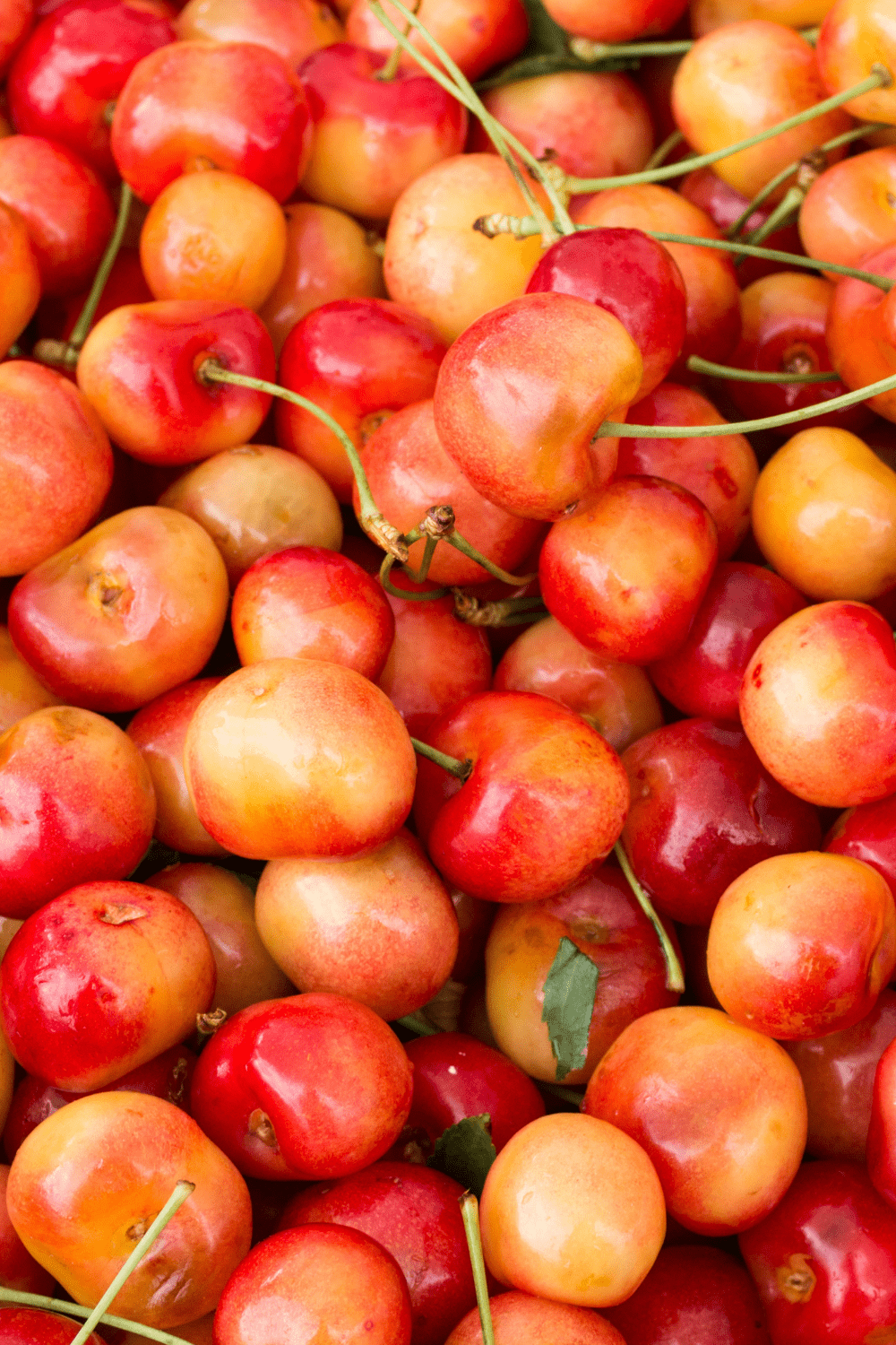 7 Fruits That Start With Q - Insanely Good