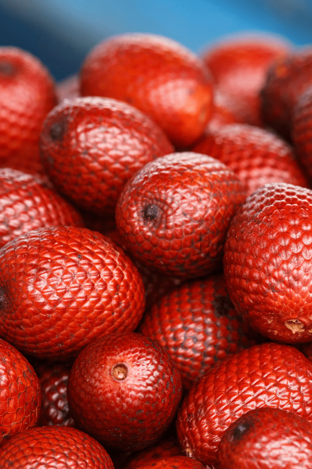 10 Fruits That Start With A - Insanely Good