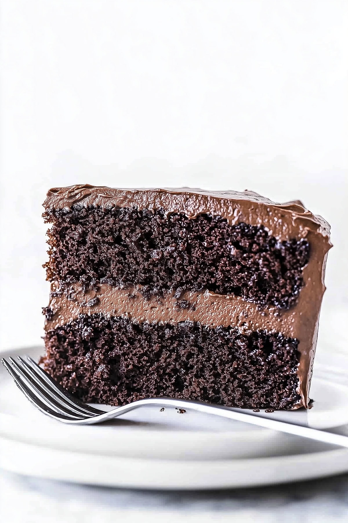 9-Inch Chocolate Cake Recipe - Insanely Good
