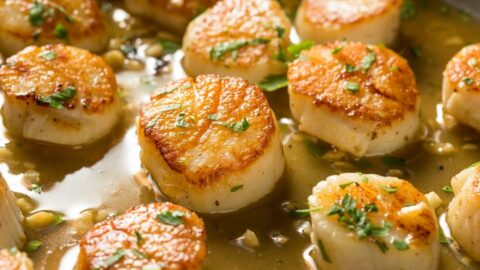 27 Easy Scallop Recipes for Seafood Lovers - Insanely Good