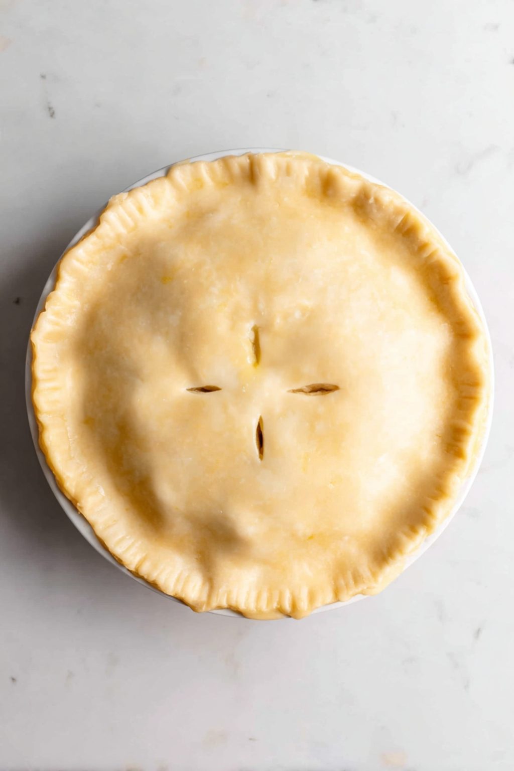 Campbell's Chicken Pot Pie (Easy Recipe) - Insanely Good