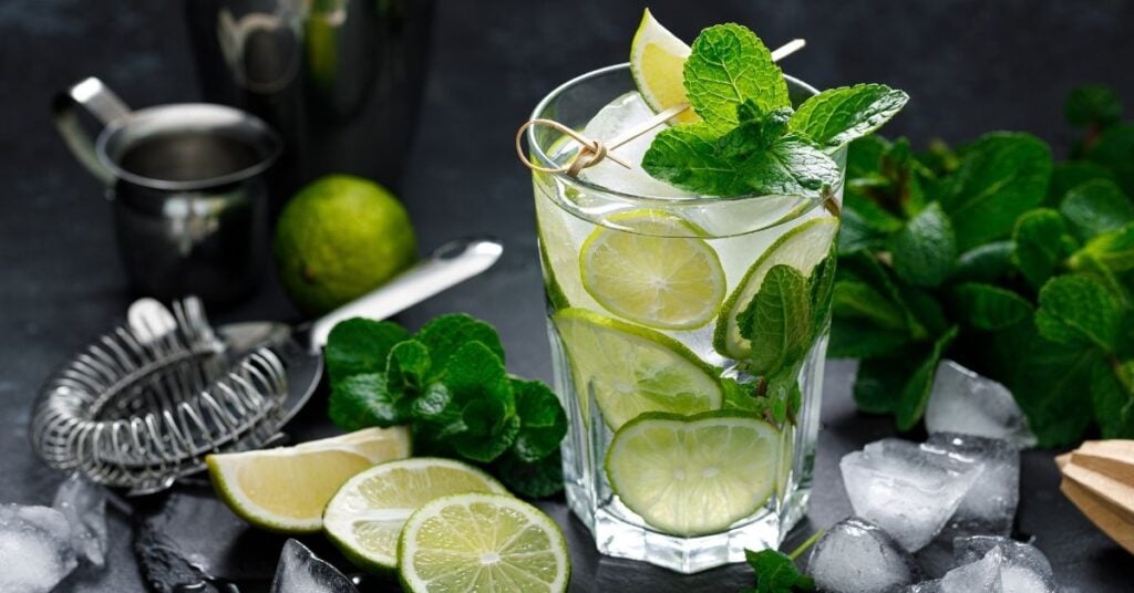 17 Fresh Mint Cocktails - Insanely Good