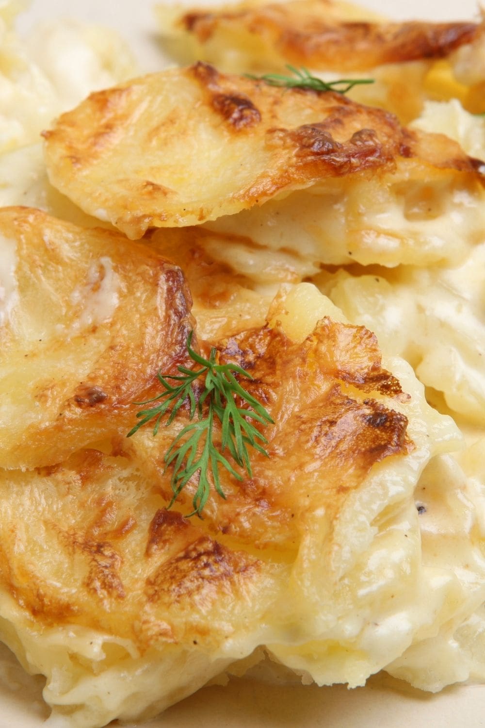20 Gratin Recipes to Put on Repeat - Insanely Good