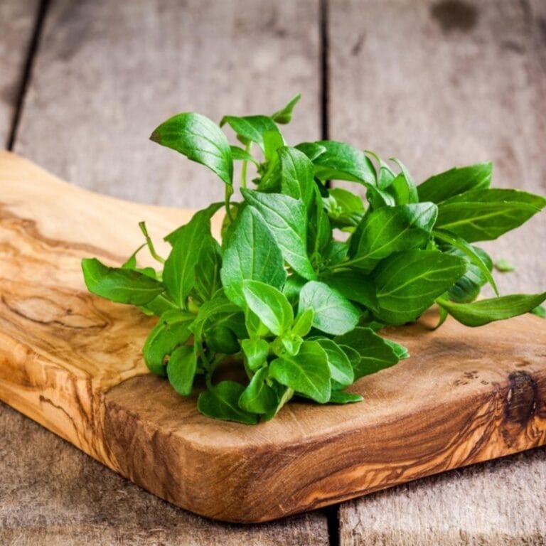 10 Substitutes for Tarragon (+ Best Alternatives) - Insanely Good