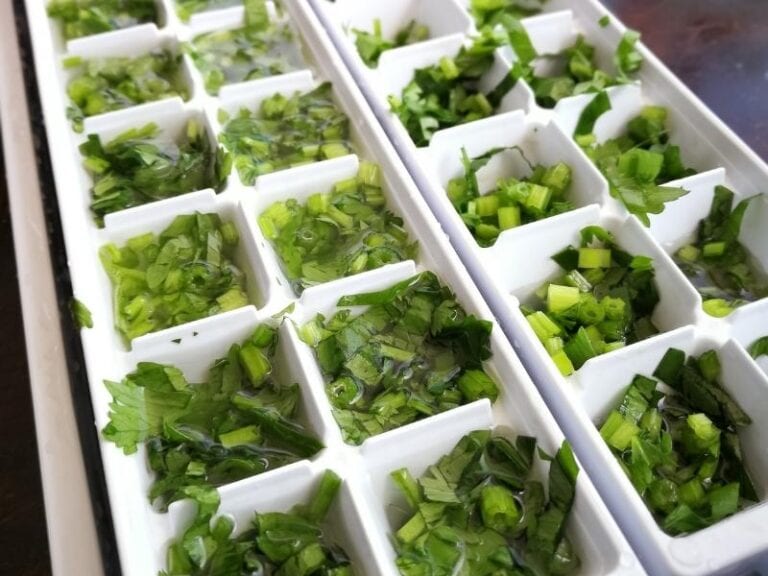 How To Freeze Cilantro (2 Easy Methods) - Insanely Good