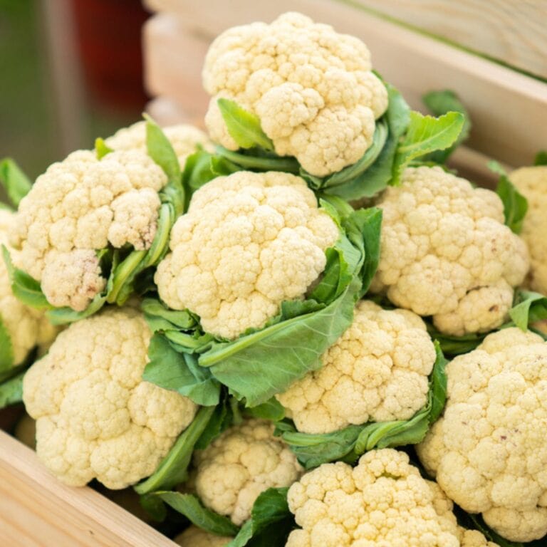 27 Common White Foods That Are Actually Healthy - Insanely Good