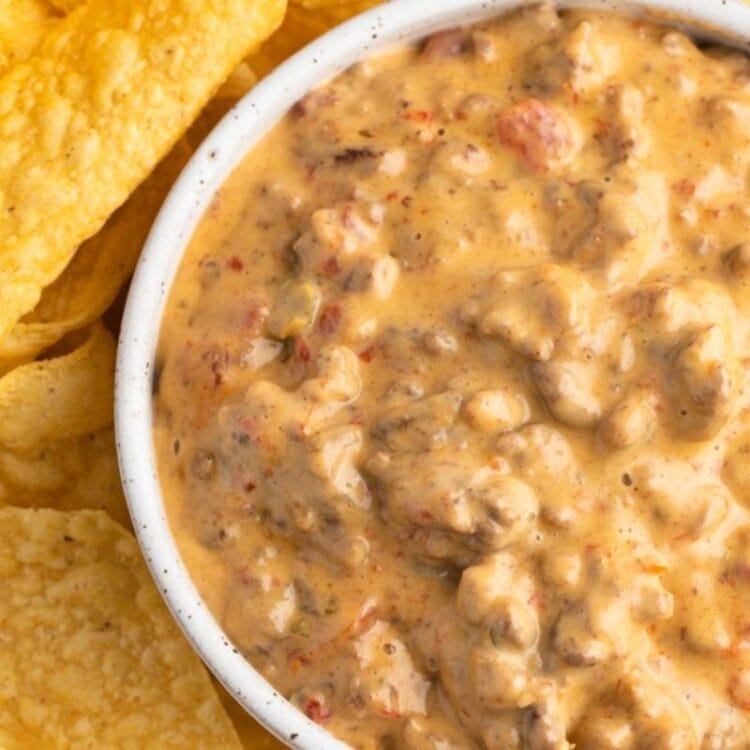 Rotel Dip Recipe (Just 3 Ingredients!) - Insanely Good