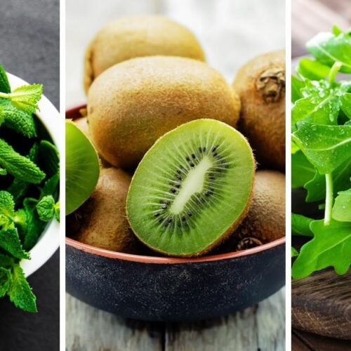 Green Foods 13 Best Green Foods — Diet ID
