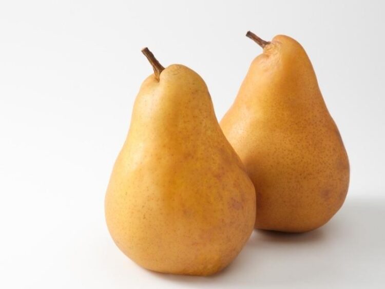 17 Types of Pears (Different Varieties) - Insanely Good