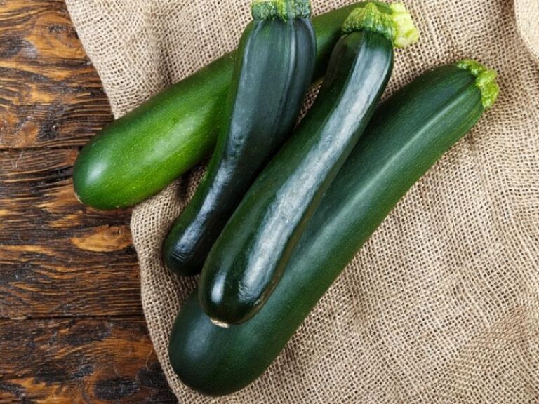 15 Types of Zucchini (Different Varieties) - Insanely Good