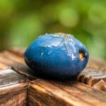 20 Naturally Blue Fruits (+ Foods List) - Insanely Good
