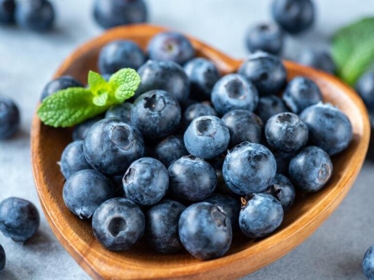 25 Different Types of Berries to Benefit Your Health - Insanely Good