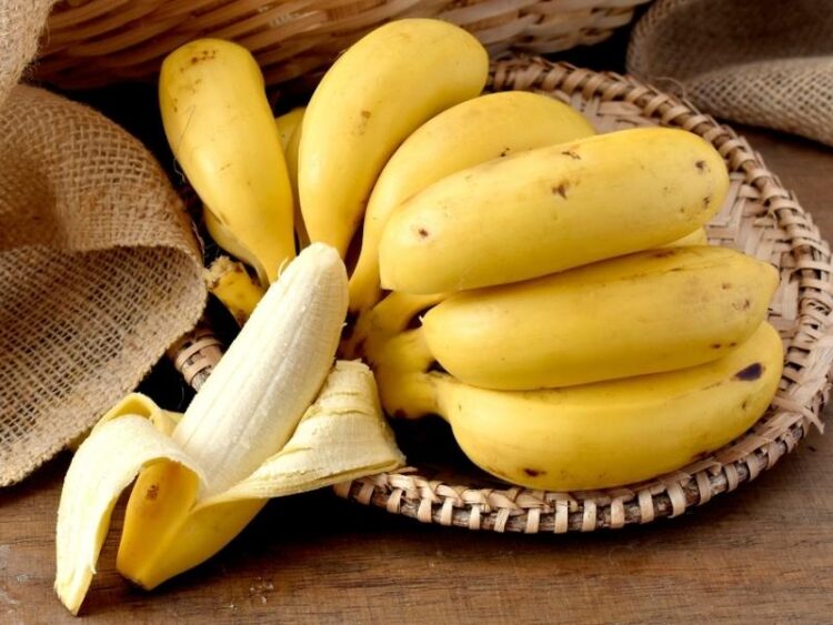 17 Types of Bananas (Different Varieties) - Insanely Good