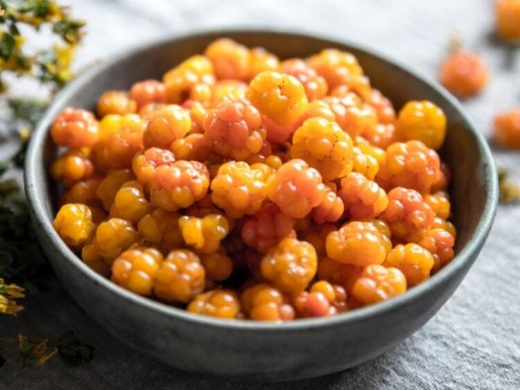 25 Different Types of Berries to Benefit Your Health - Insanely Good