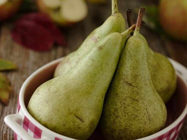 17 Types of Pears (Different Varieties) - Insanely Good