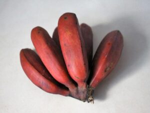 17 Types of Bananas (Different Varieties) - Insanely Good