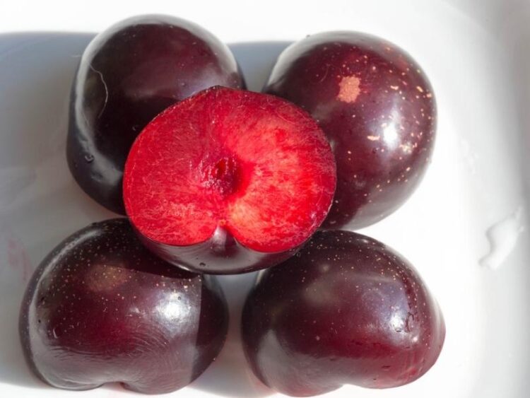 22 Types of Plums (Different Varieties) - Insanely Good