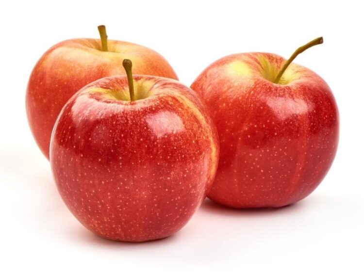 25 Common Types of Apples (Different Varieties) - Insanely Good