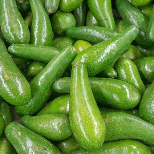 17 Types of Avocados (Different Varieties) - Insanely Good