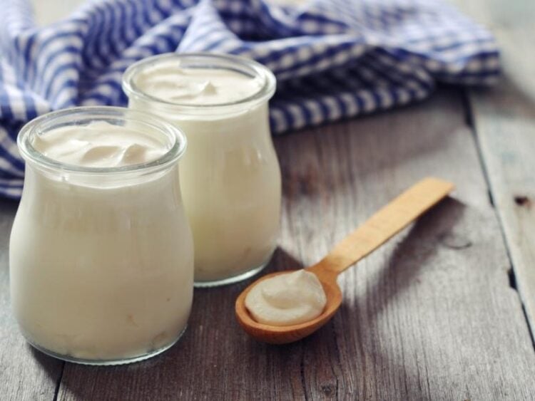 13 Best Types of Yogurt (Different Kinds) - Insanely Good