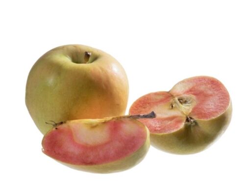 25 Common Types of Apples (Different Varieties) - Insanely Good