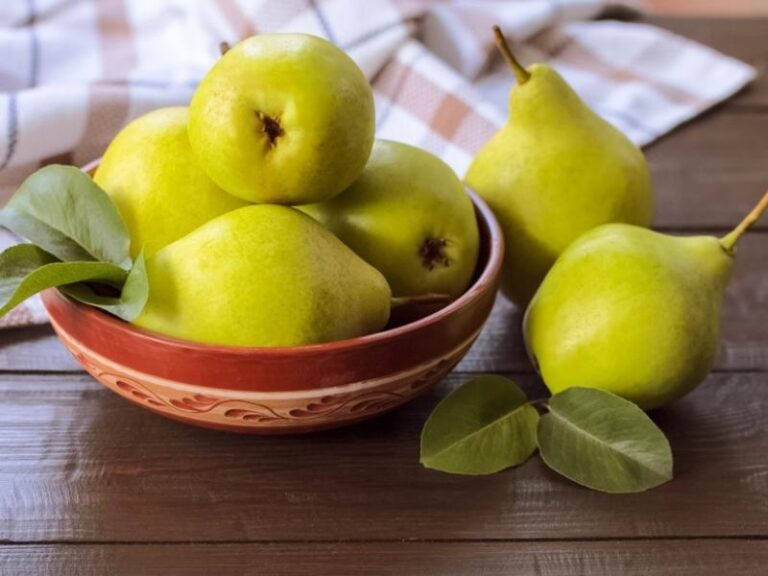 17 Types of Pears (Different Varieties) - Insanely Good