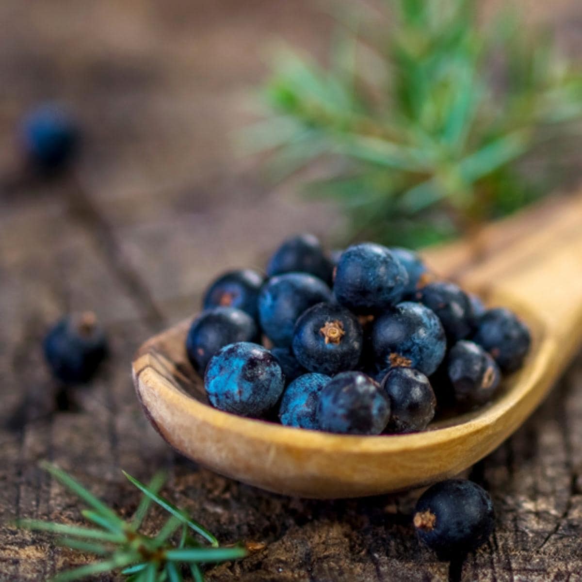 20 Naturally Blue Fruits (+ Foods List) - Insanely Good