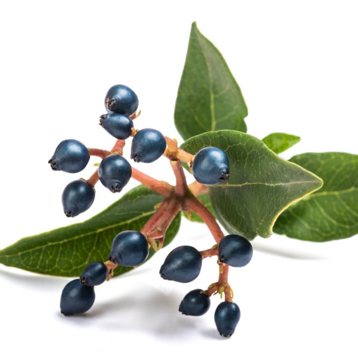 20 Naturally Blue Fruits (+ Foods List) - Insanely Good