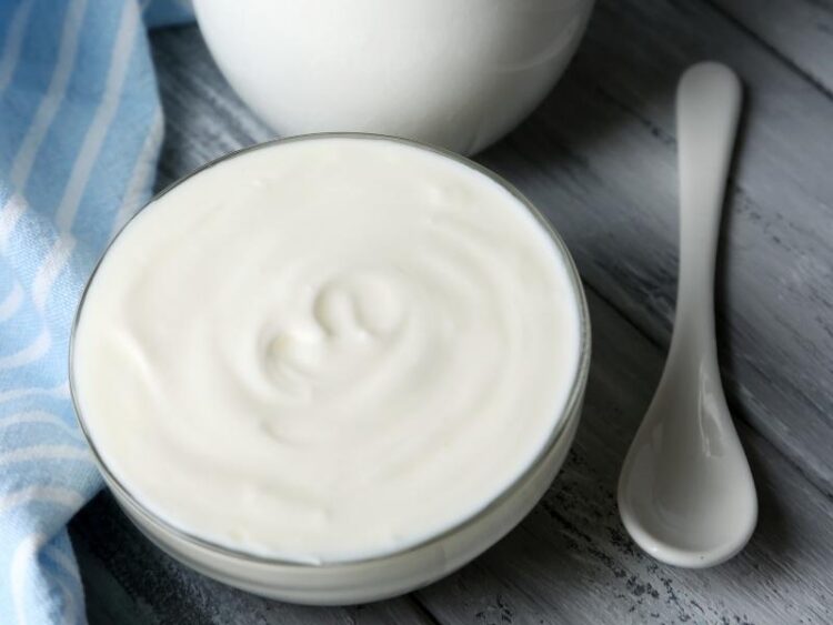 13 Best Types of Yogurt (Different Kinds) - Insanely Good
