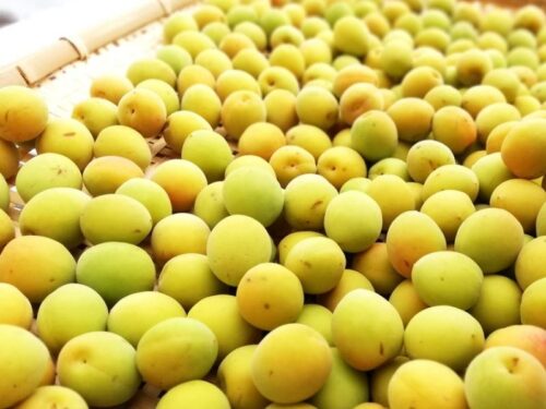 22 Types of Plums (Different Varieties) - Insanely Good