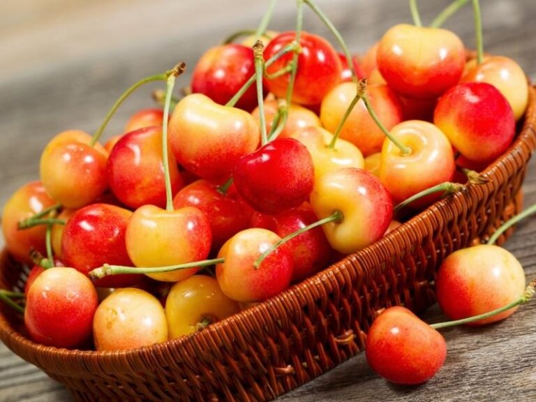 25 Different Types of Cherries (+ Tasty Varieties) - Insanely Good
