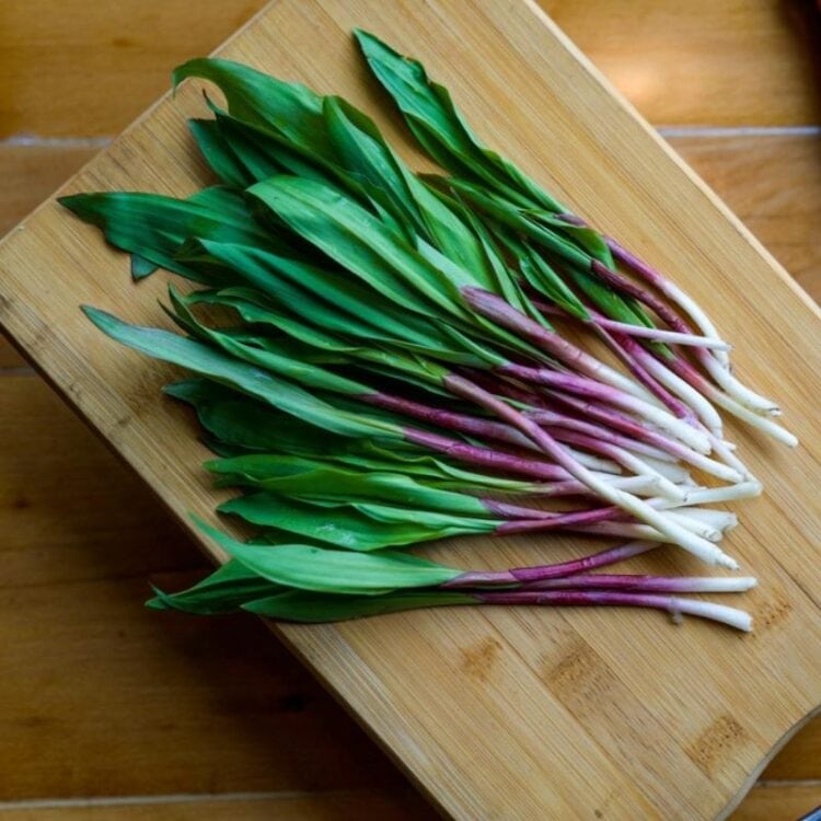 10 Best Green Onion Substitutes to Use in Your Meals - Insanely Good
