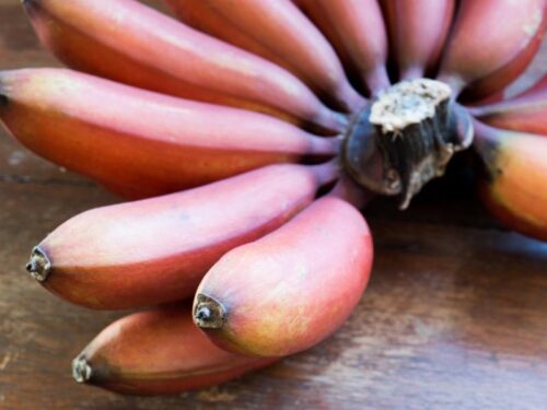 17 Types of Bananas (Different Varieties) - Insanely Good