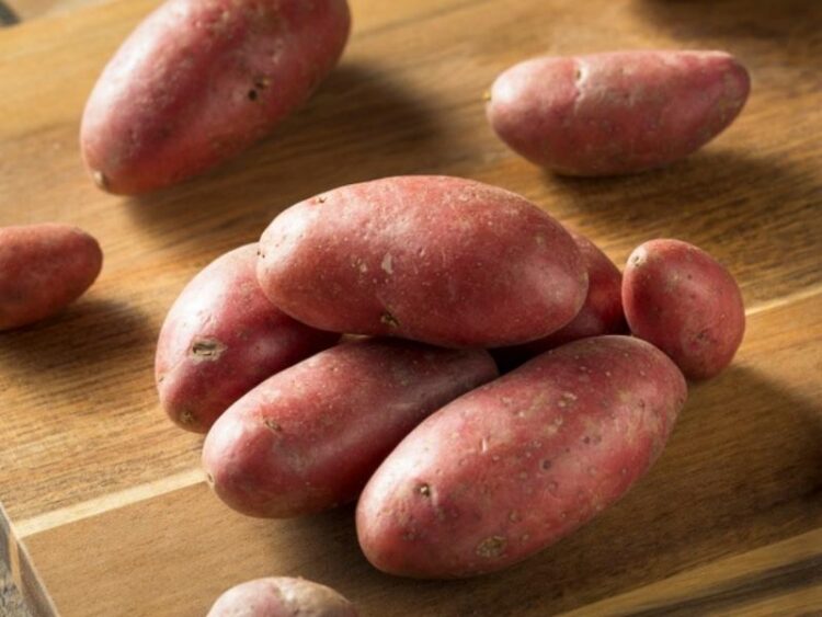 17 Types of Potatoes (Different Varities) - Insanely Good