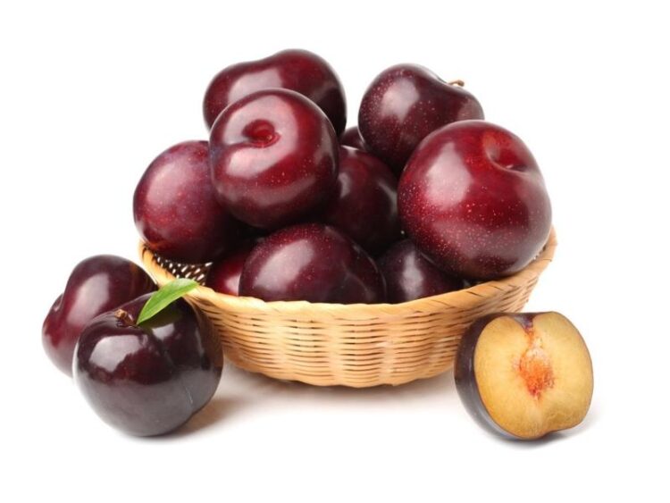 22 Types of Plums (Different Varieties) - Insanely Good