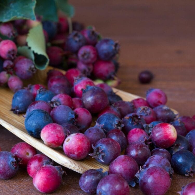 20 Naturally Blue Fruits (+ Foods List) - Insanely Good