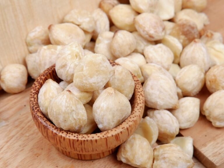 20 Types of Nuts (Different Varieties) - Insanely Good