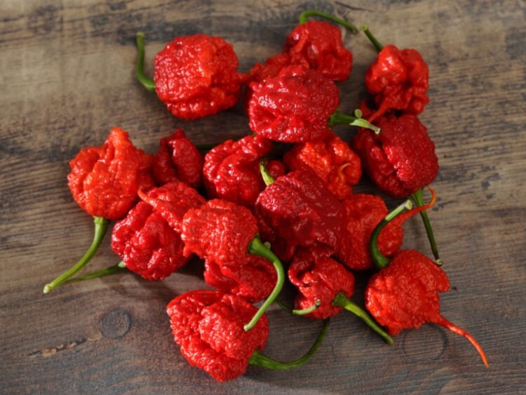 25 Different Types of Peppers and How to Use Them - Insanely Good